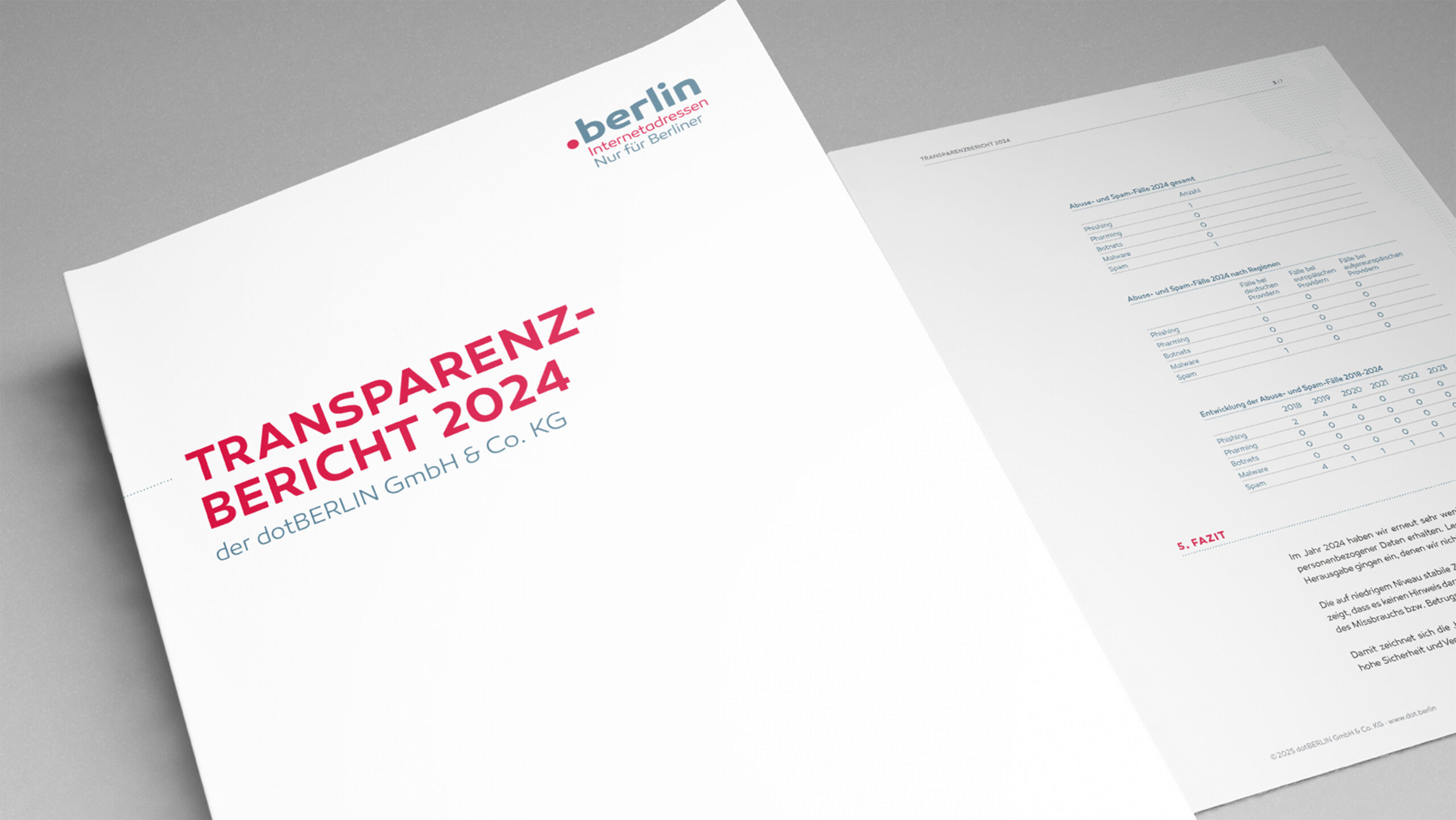 Unser Transparenzbericht 2024 | dot.berlin